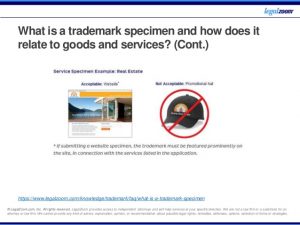 Proper Use of Web Pages as Trademark Specimens