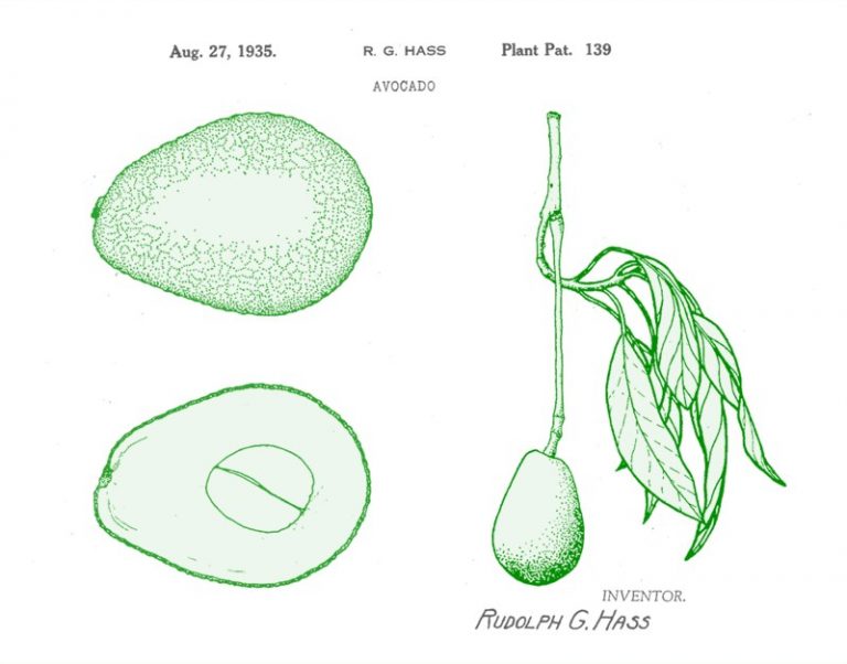 Interesting Plant Patents